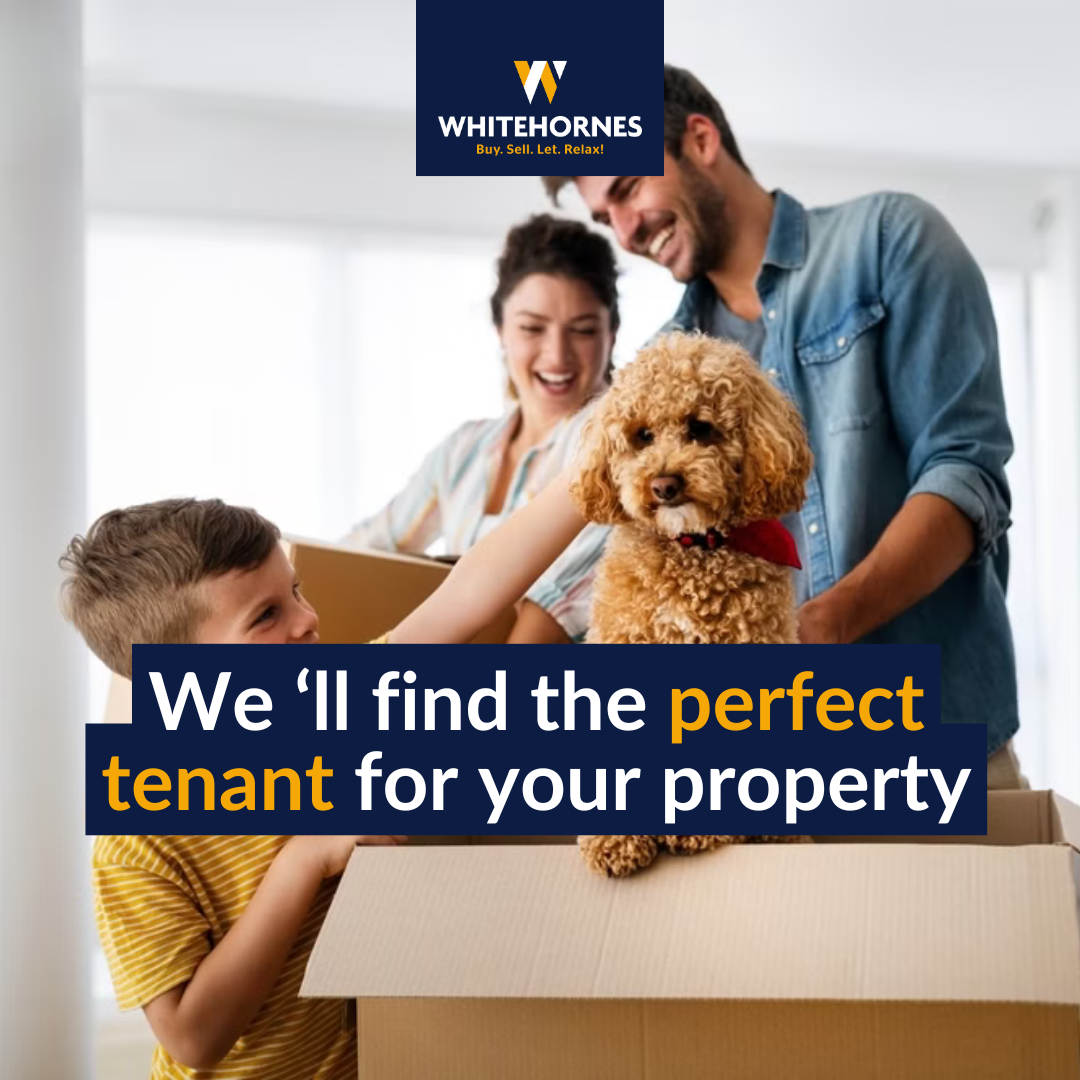 Lettings | Whitehornes Estate Agent